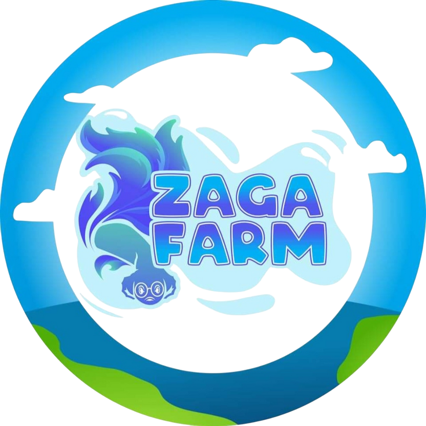 HALFMOON PLAKAT BETTA FISH MALE – Page 3 – Zaga Farm